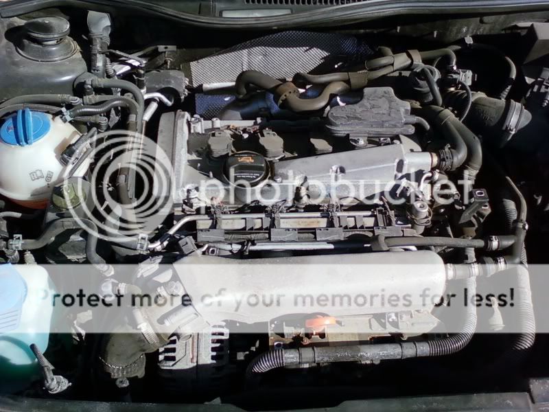 engine bay | VW Vortex - Volkswagen Forum