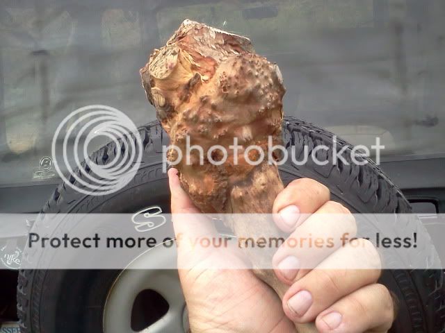 Making homemade Melee weapons. for Zombie apocalypse. > General ...