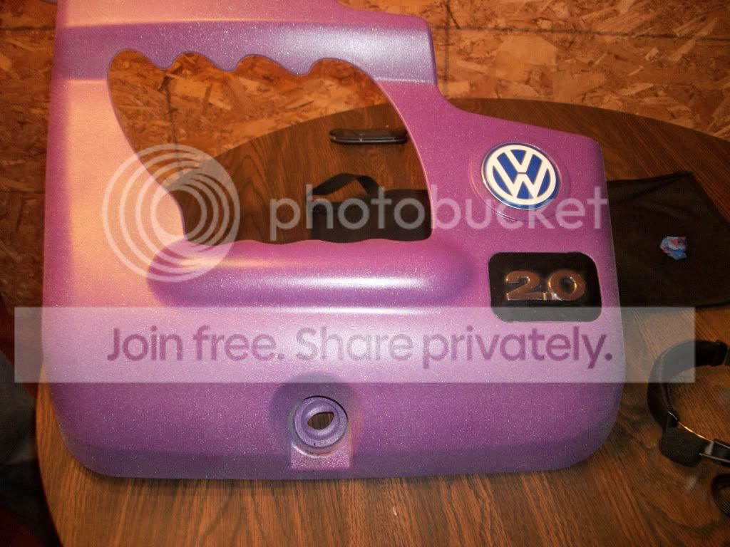 Painted Engine Cover | VW Beetle Forum