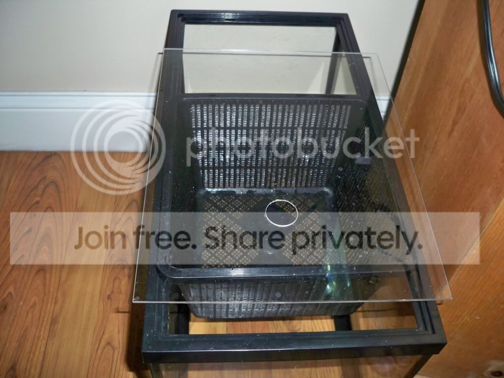 DIY sump and overflow build | MonsterFishKeepers.com