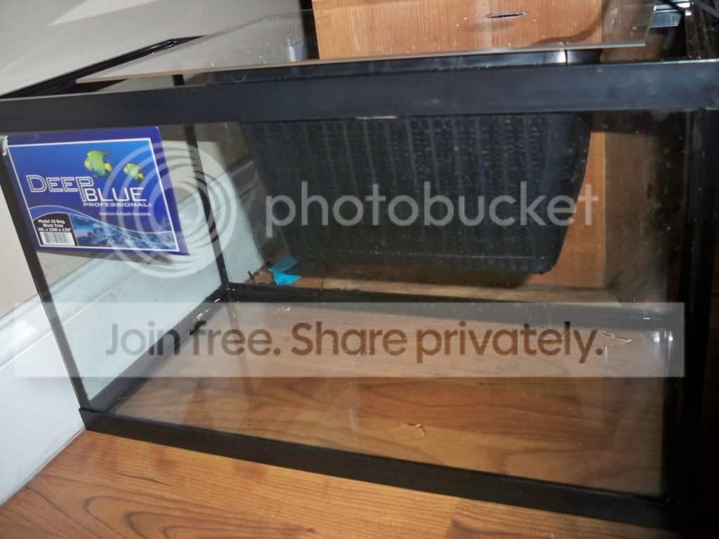 DIY sump and overflow build | MonsterFishKeepers.com