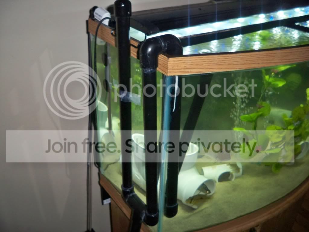 DIY sump and overflow build | MonsterFishKeepers.com