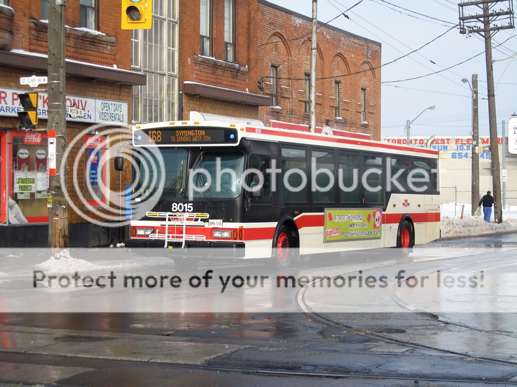 Today's Sightings - Page 269 - Sightings for Greater Toronto Area ...