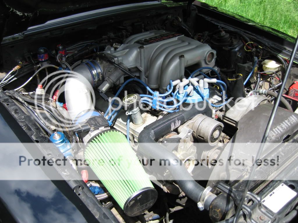 My 88 Notch turbo build | Page 2 | Ford Mustang Forums