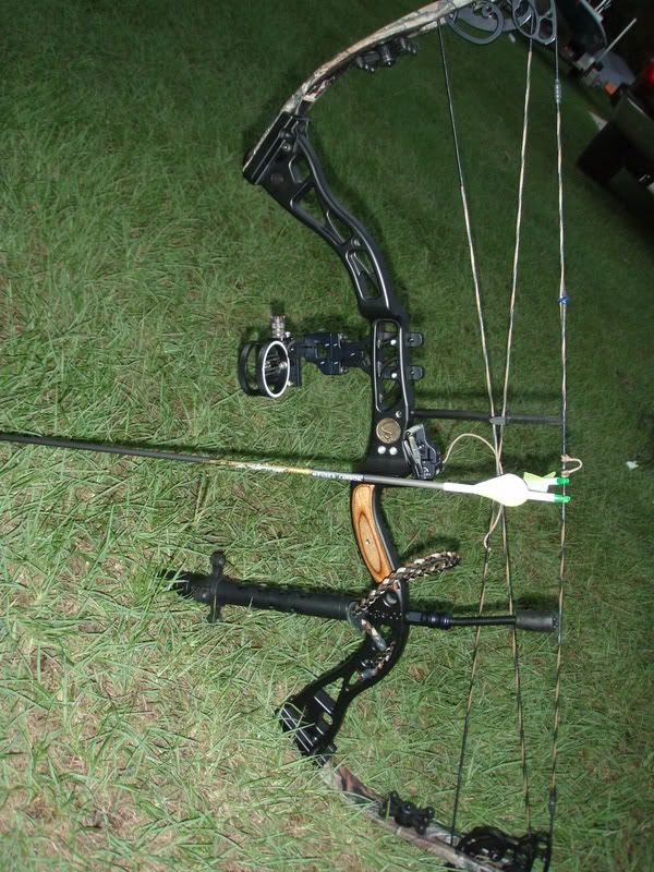 Stick and String…..Elite Gt-500 | Outdoor Adventure