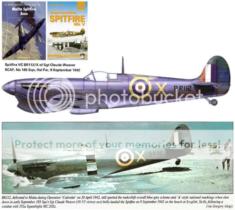 Malta Spitfire Vs - 1942: Their colours and markings - Page 5 ...