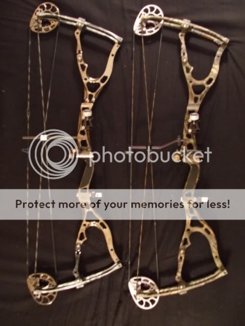 Let's See those Competition Bows...Pics | GON Forum