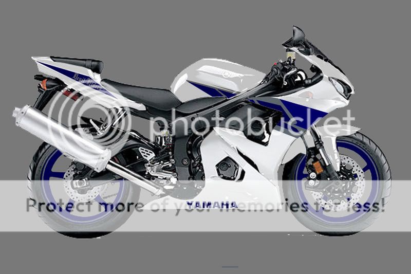 Custom Paint scheme idea | R6 Message Net